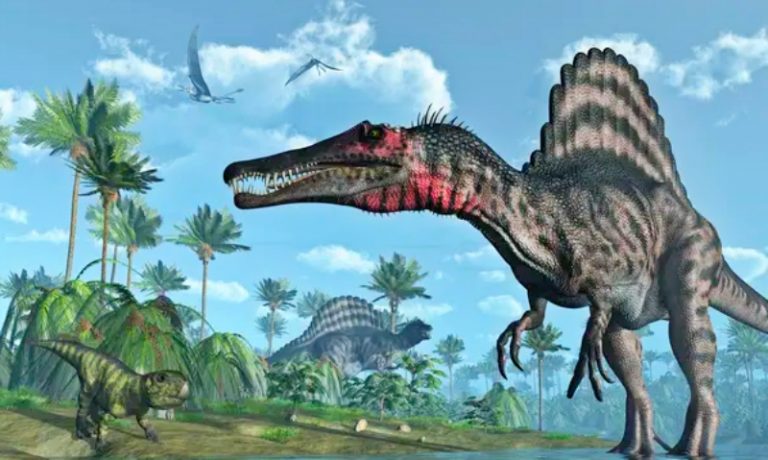 Jenis-Jenis Dinosaurus dari Purbakala Hingga Kepunahannya